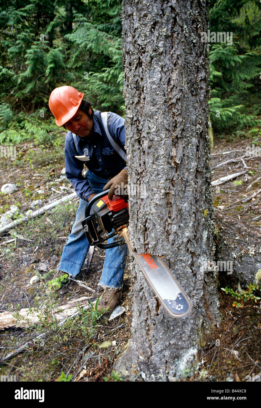 Logger hi-res stock photography and images - Alamy