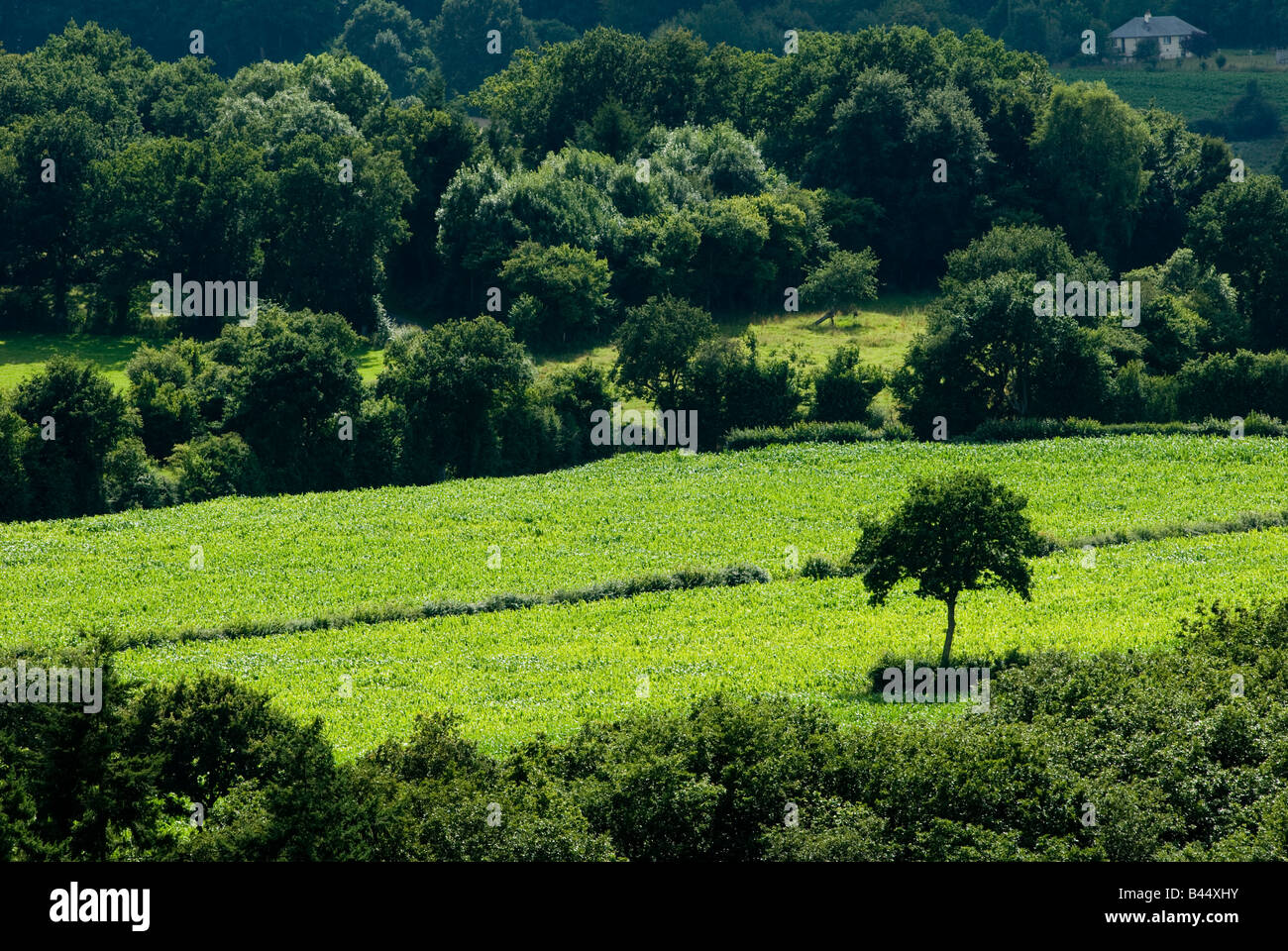 Beautiful french countryside in the orne valley Normandy, France Stock ...