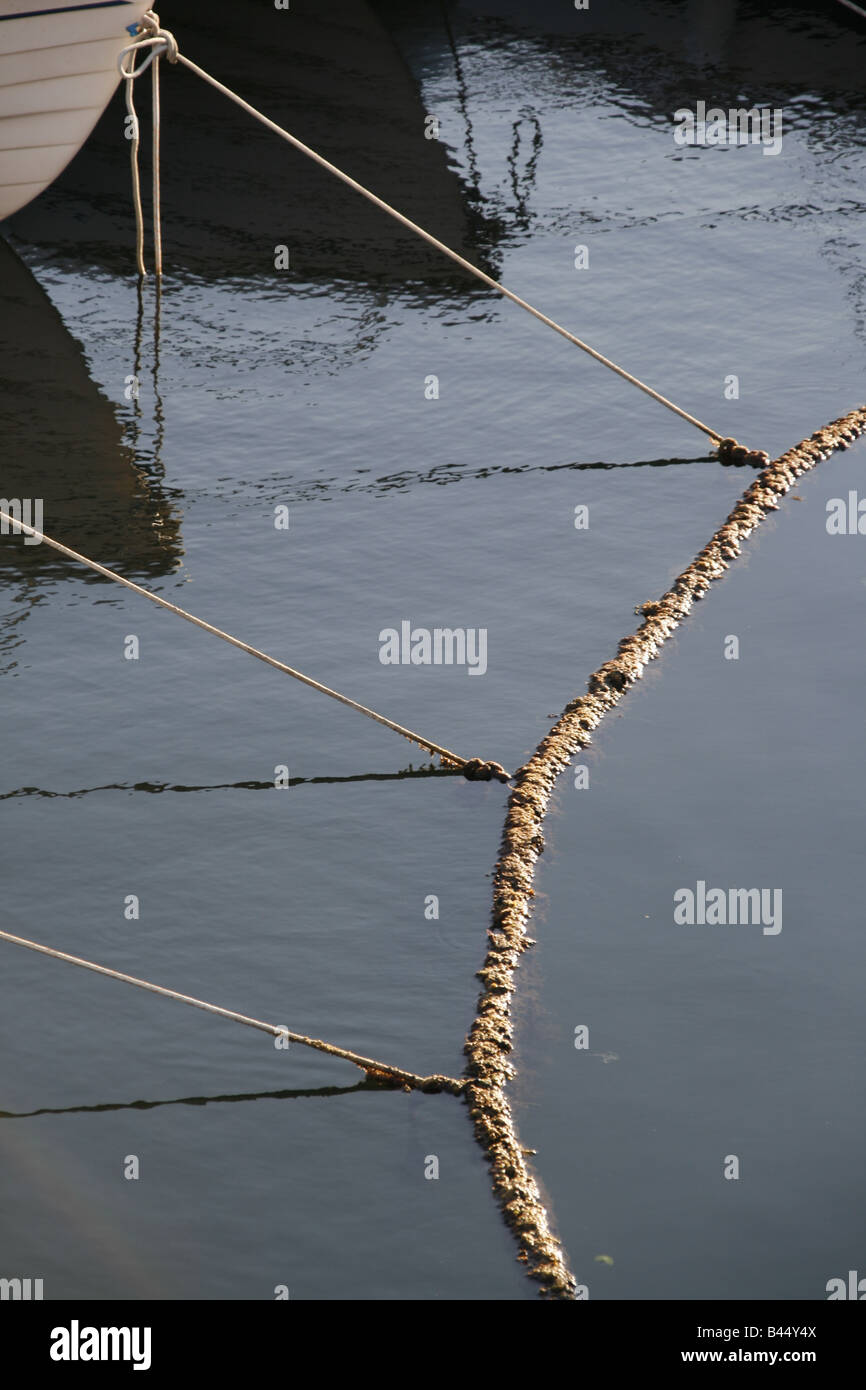 pattern of boat mooring ropes in water in harbour Stock Photo - Alamy