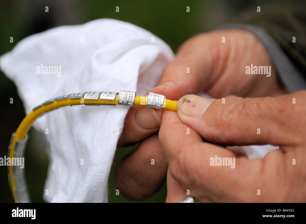 Bto Stock Photos & Bto Stock Images - Alamy