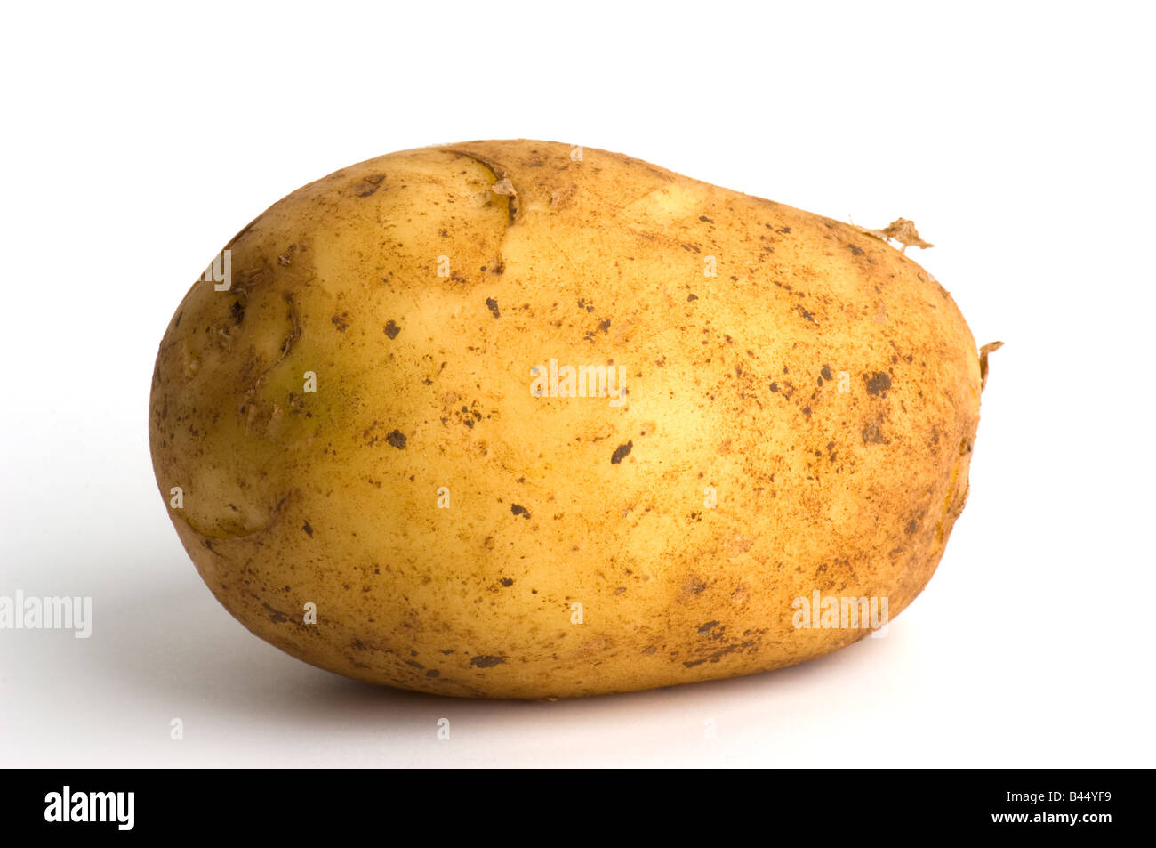 Potato on a white background Stock Photo - Alamy