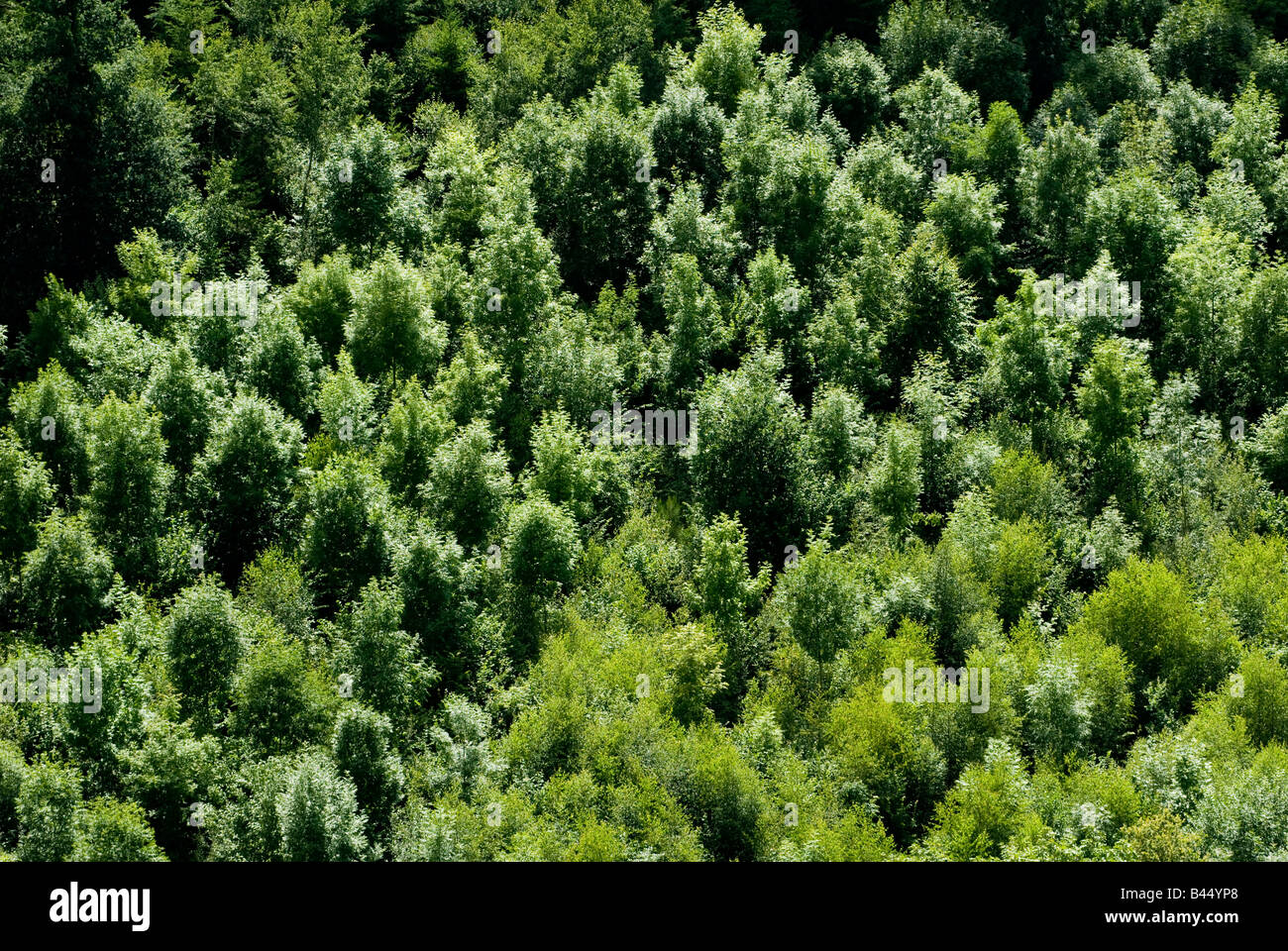 Beautiful french countryside in the orne valley Normandy, France Stock ...