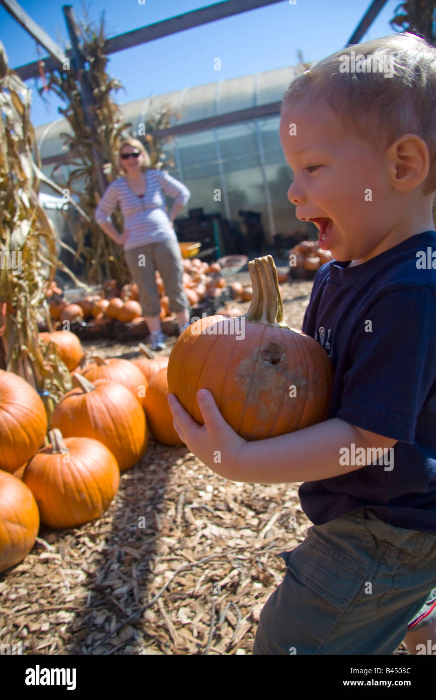 Child carry pumpkin hi-res stock photography and images - Alamy