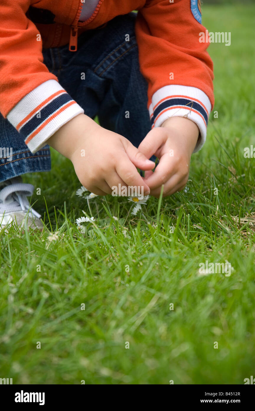 Hands of a child picking green grass Stock Photo - Alamy
