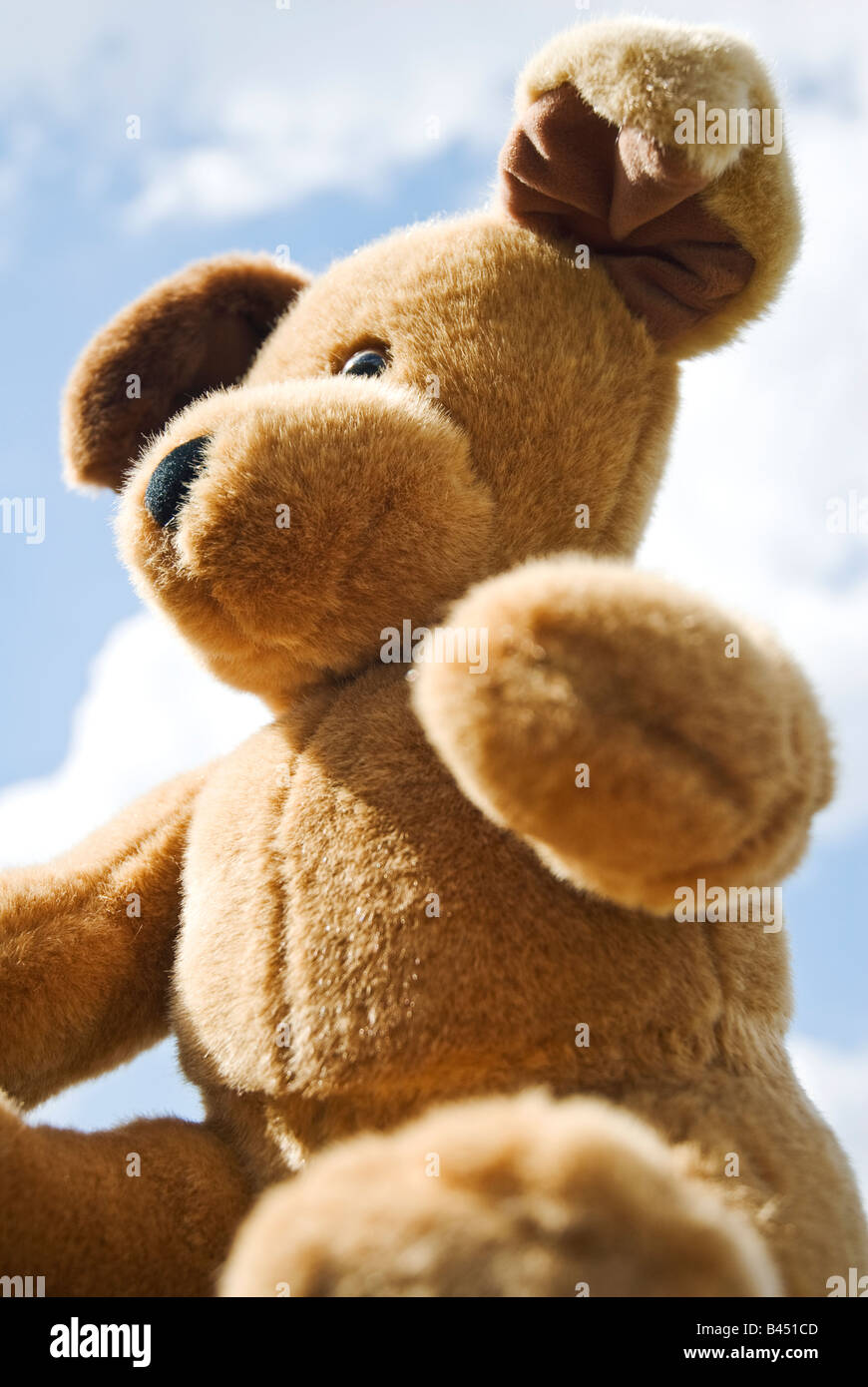 Gold teddy bear hi-res stock photography and images - Alamy