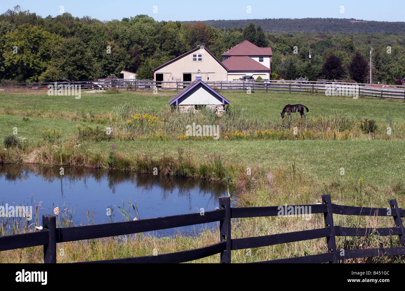A New Jersey horse farm. Field, pond and fence with an outbuilding in ...
