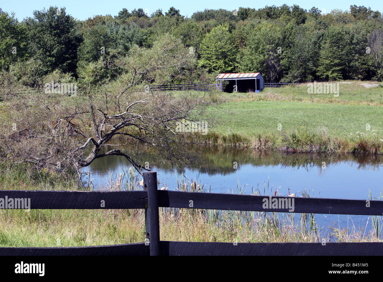A New Jersey horse farm. Field, pond and fence with an outbuilding in ...