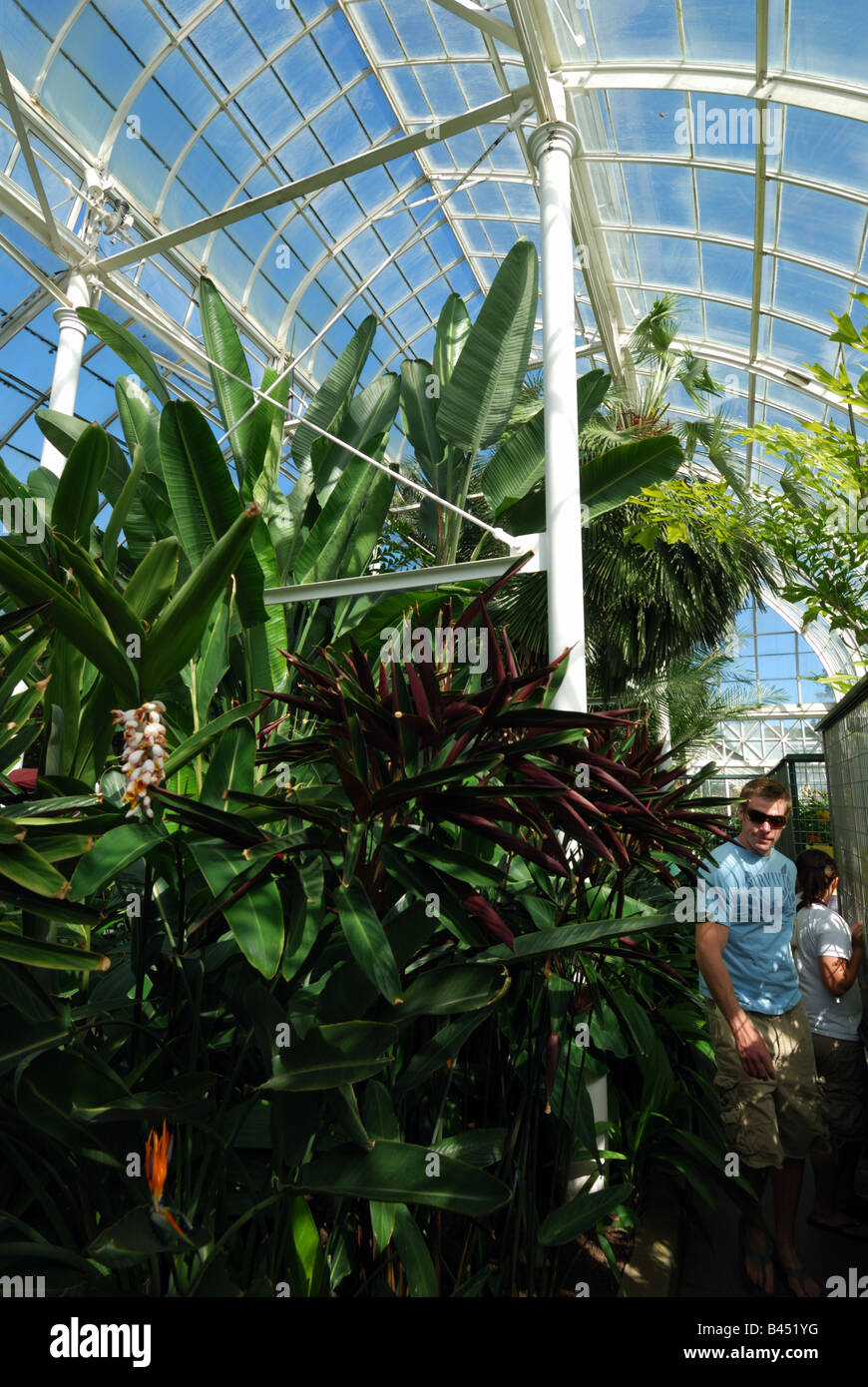 The conservatory in Seattle's Volunteer Park Stock Photo - Alamy