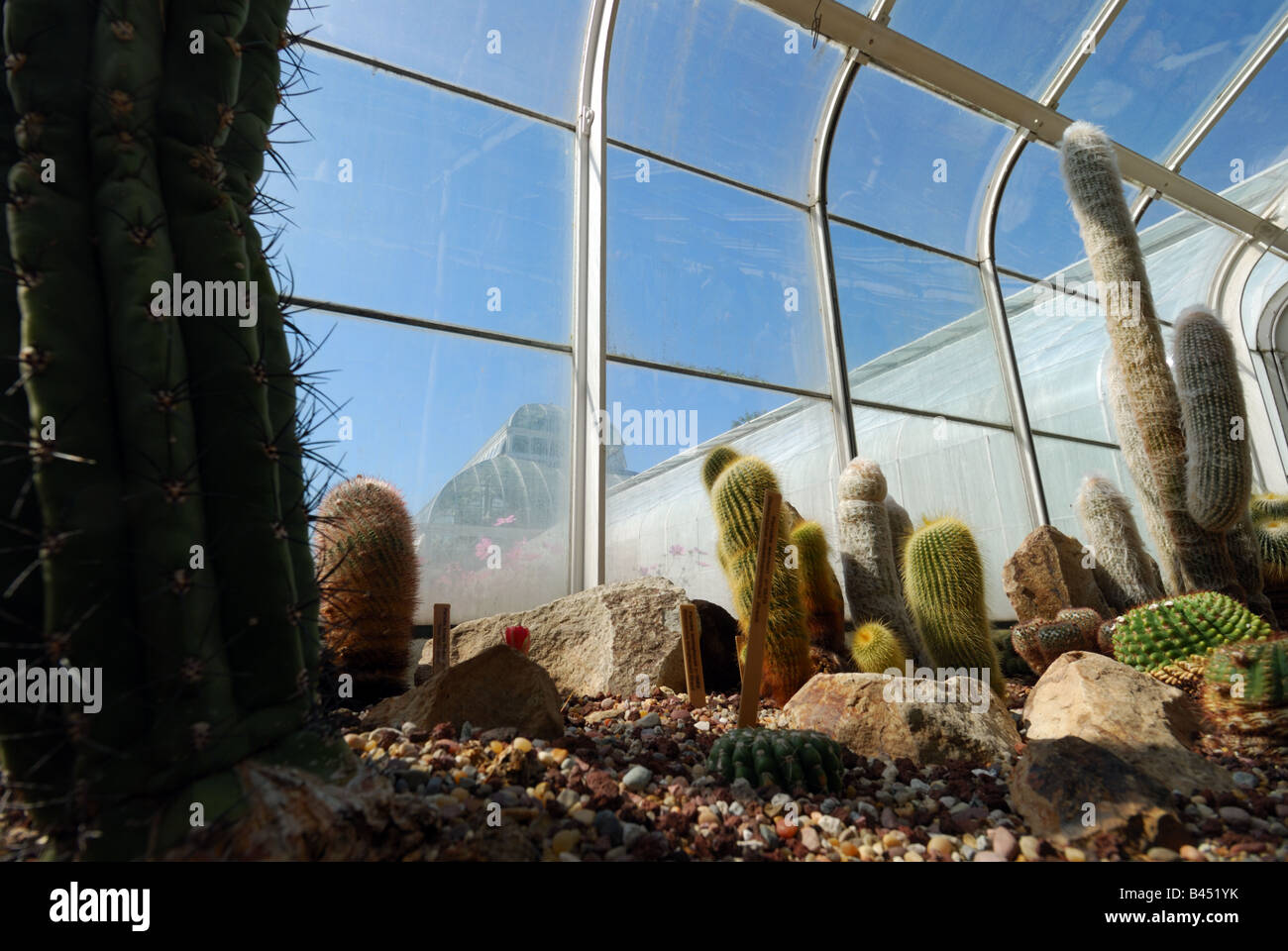 The succulent plant collection in Seattle's Volunteer Park conservatory ...