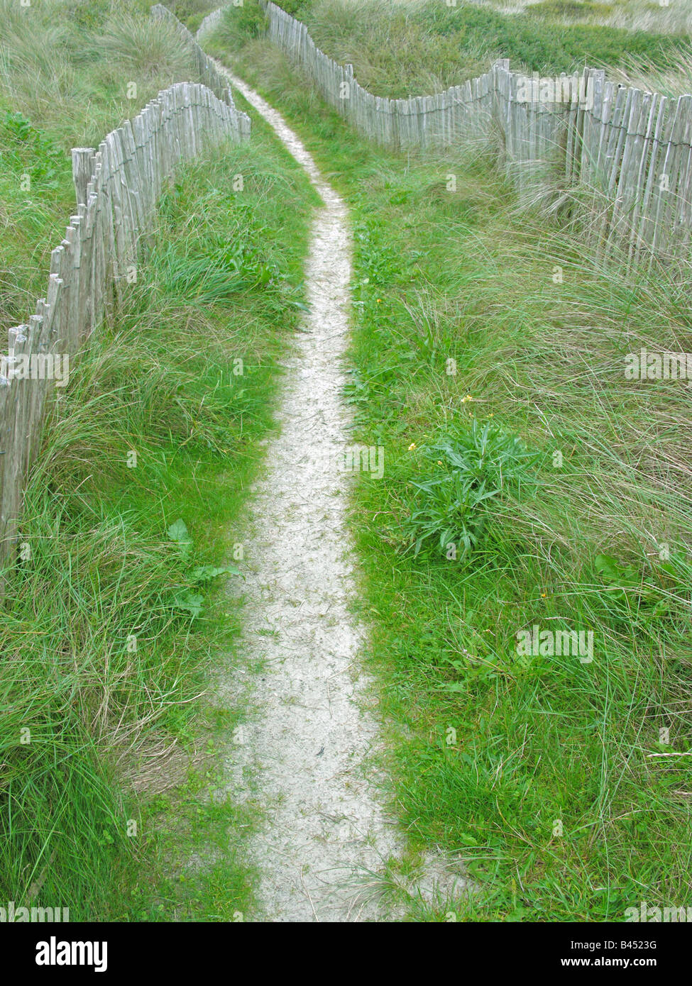 Santec brittany hi-res stock photography and images - Alamy