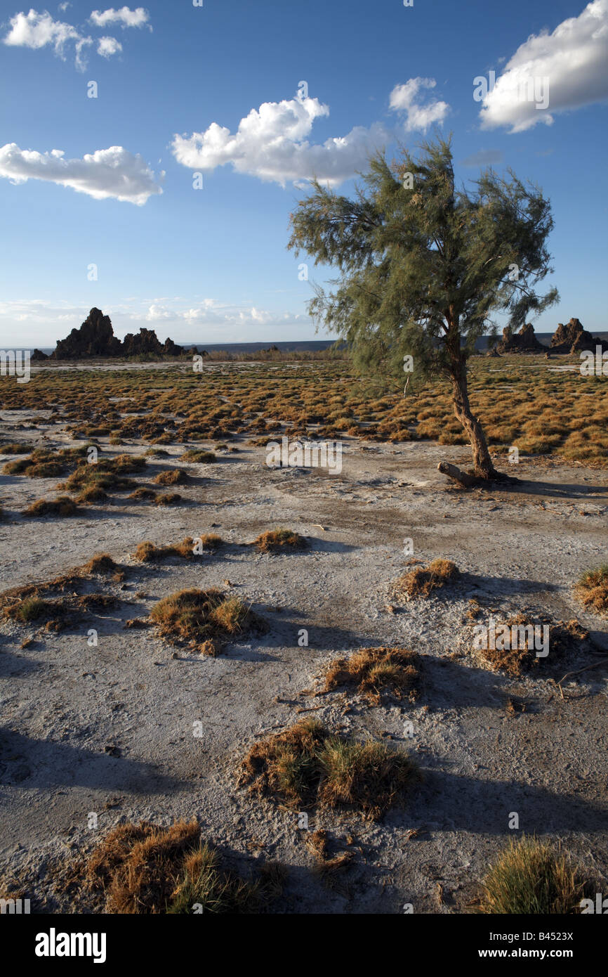 Lac Abbe, Djibouti Stock Photo - Alamy