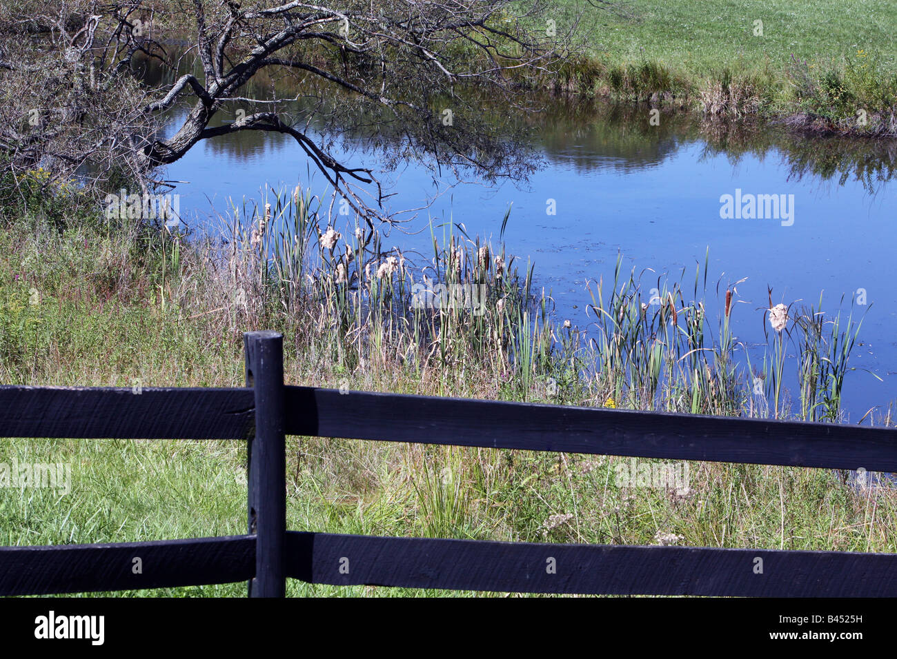A New Jersey horse farm. Field, pond and fence with an outbuilding in ...