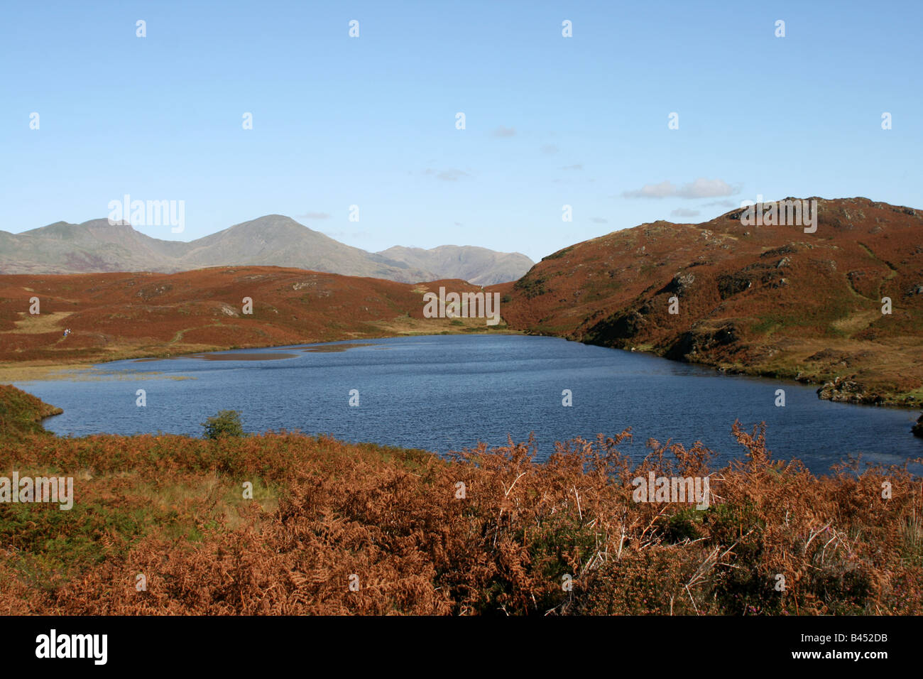 Beacon Tarn, Lake District, UK Stock Photo - Alamy
