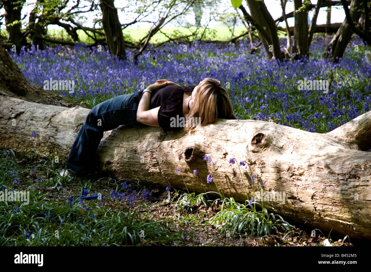 Woman lying on a fallen tree in a bluebell wood Stock Photo - Alamy