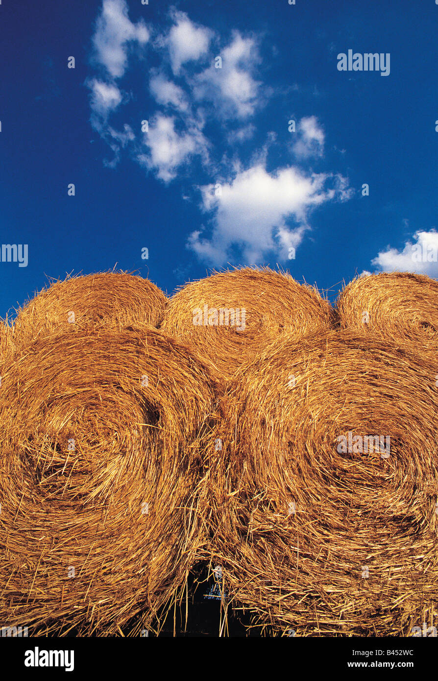 Stack of bales of straw Stock Photo - Alamy