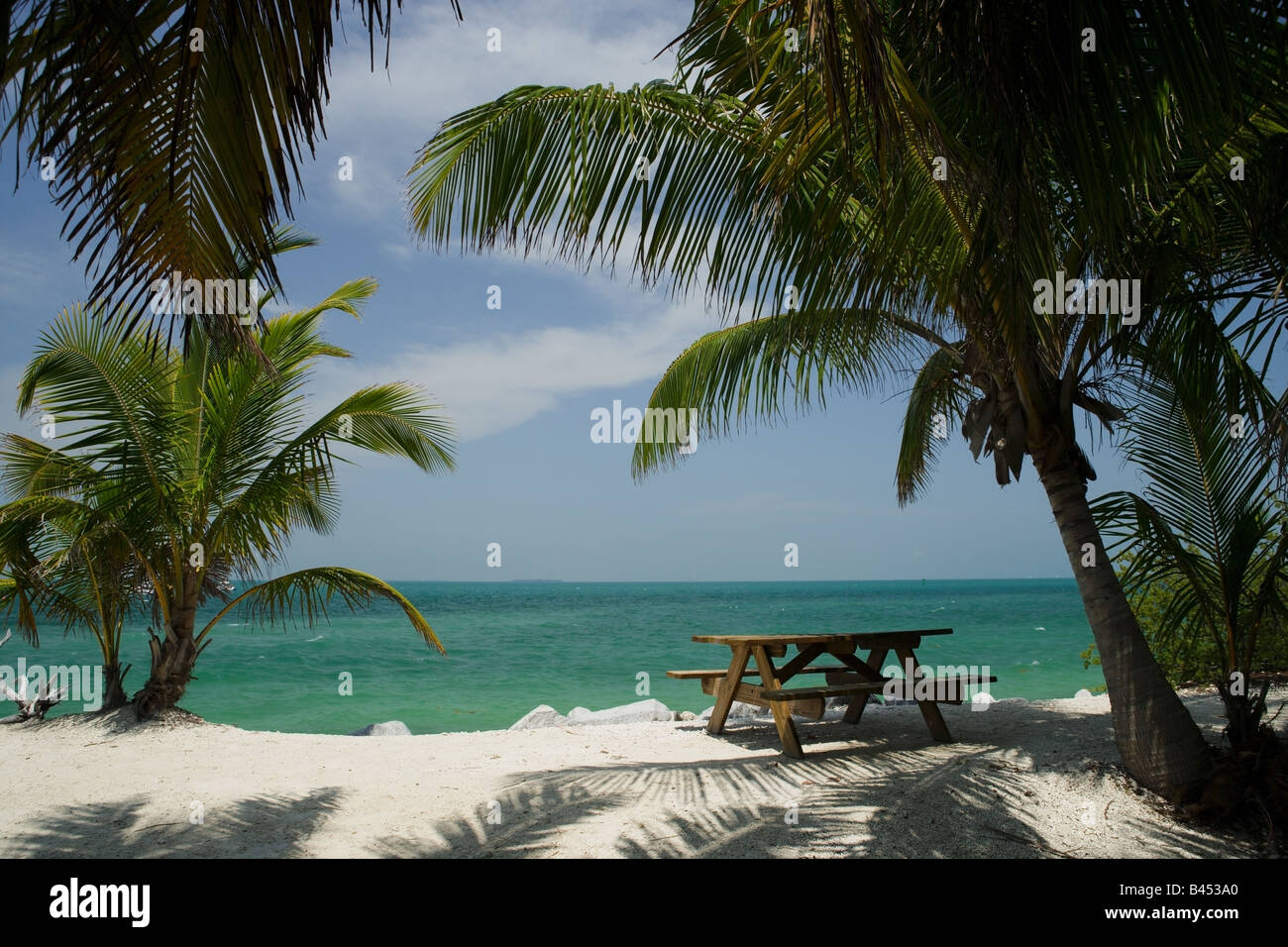 Picnic table on beach in Key West with palms and azure sea on sunny day ...