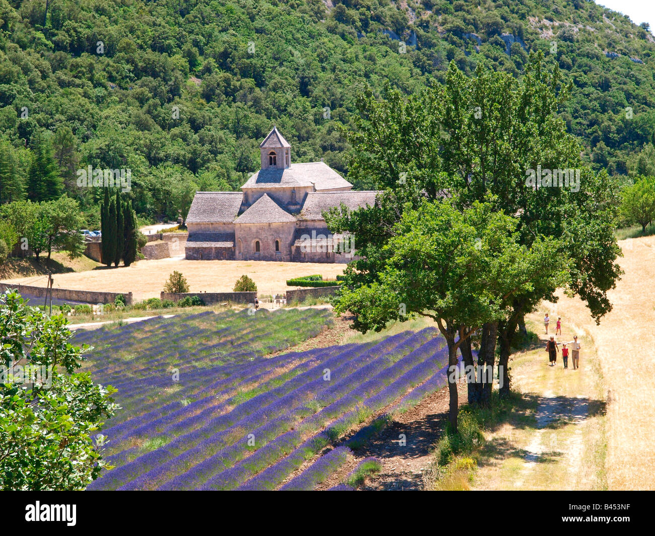lavender, Abbaye de Senanque, monastery, Provence, France Stock Photo ...