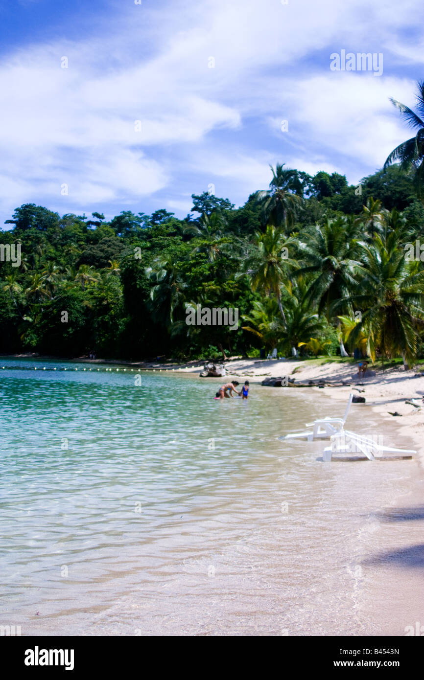 Panama, Isla Grande, Caribbean beach clear water and typical palm trees ...