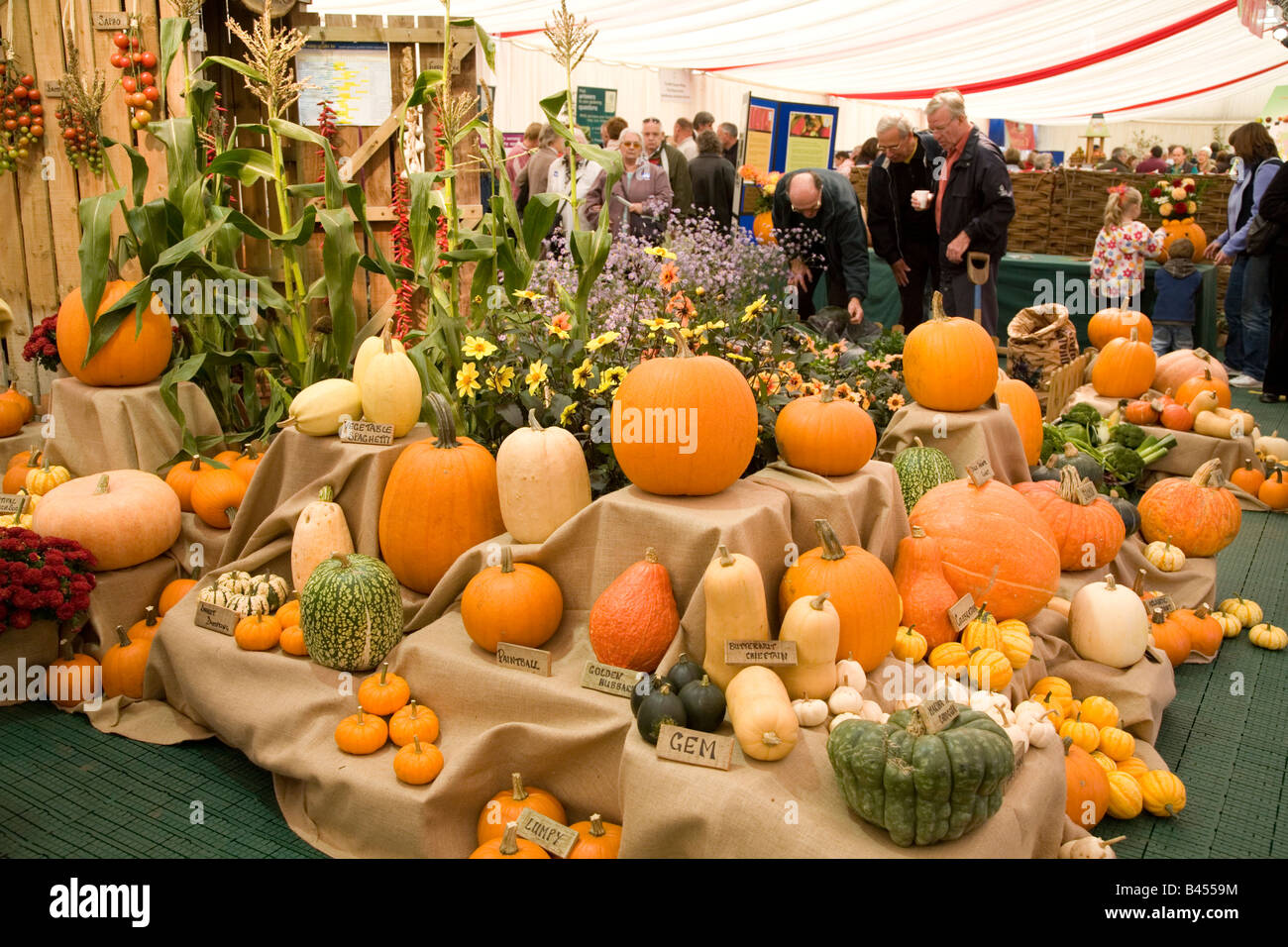 award winning organic fruit and vegetables on display Stock Photo - Alamy