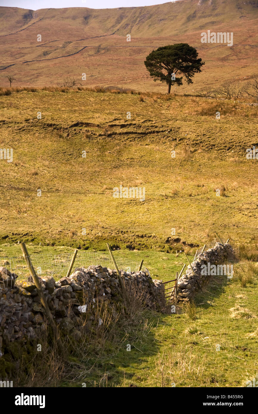 History of weardale hi-res stock photography and images - Alamy