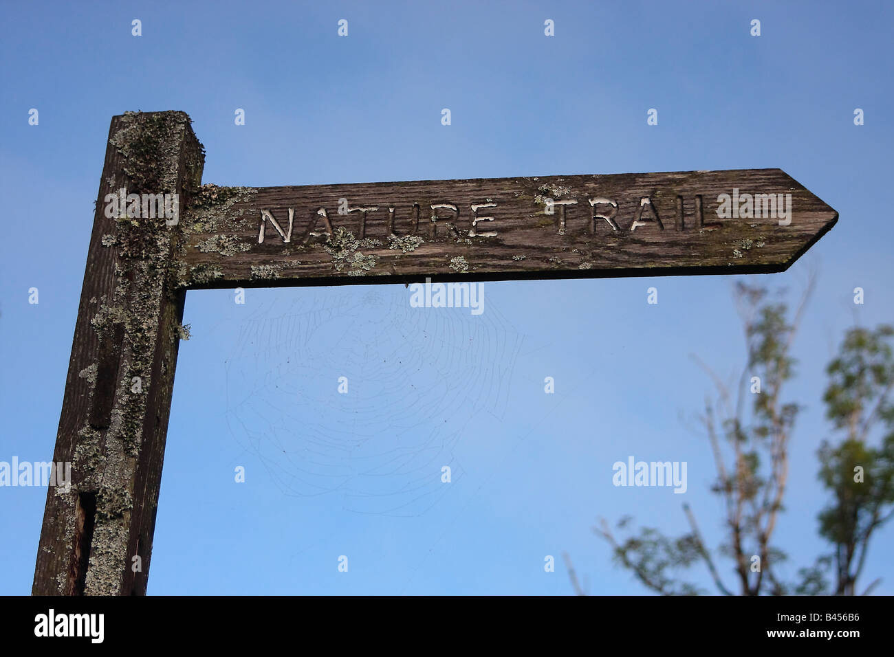 Nature Trail Signpost Stock Photo - Alamy