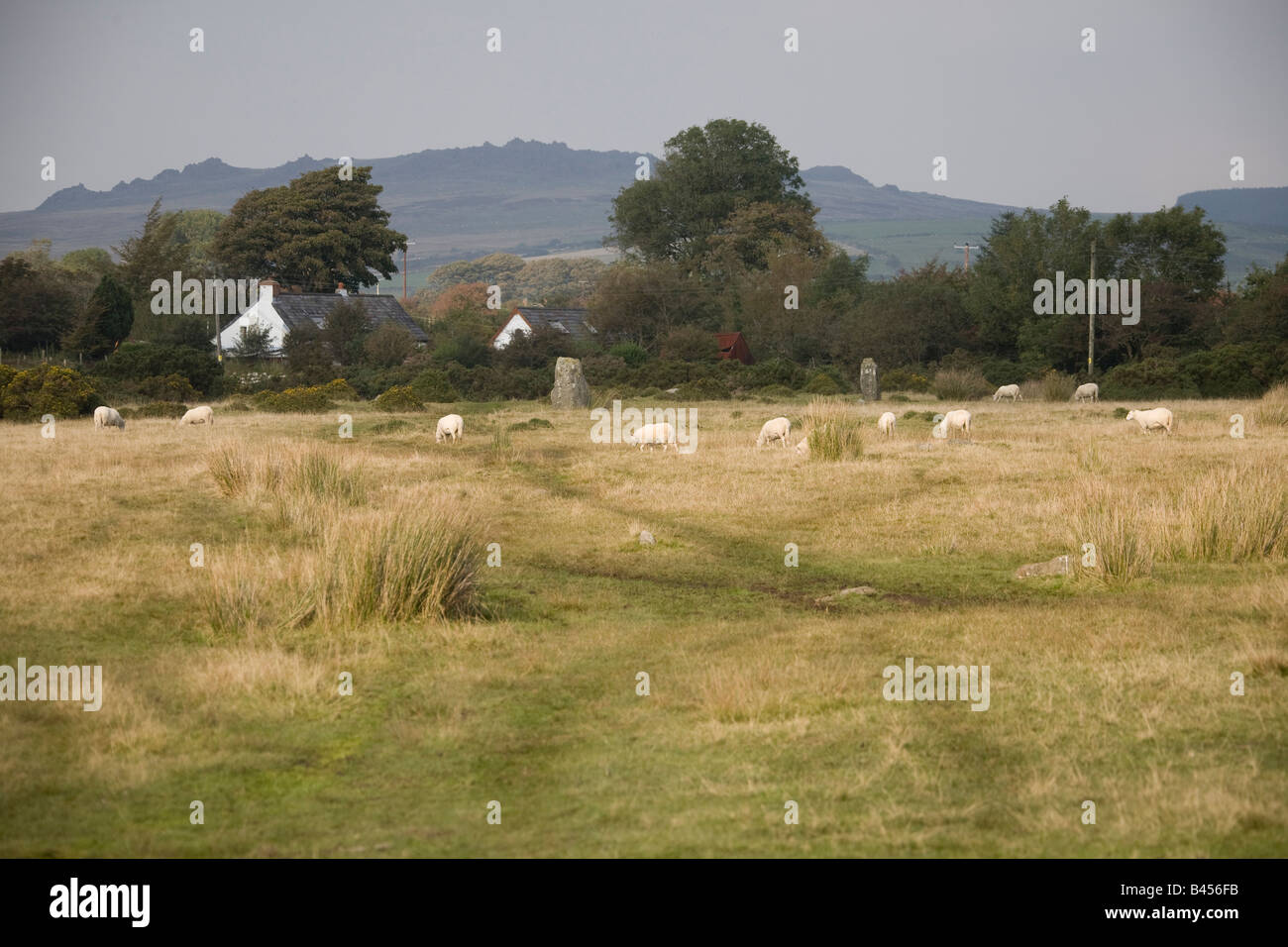 Mynachlogddu Pembrokeshire Wales megalithic cromlech ancient monument ...
