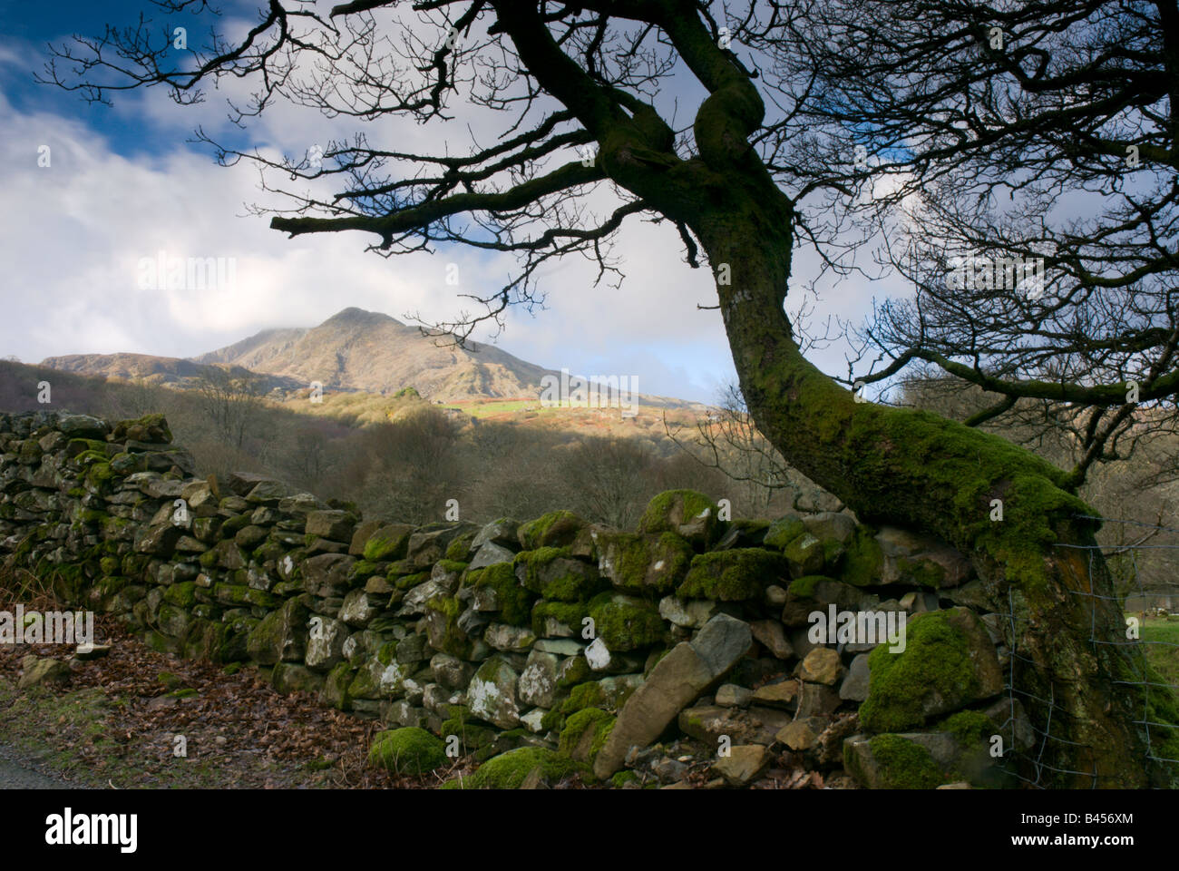 Welsh mountainside hi-res stock photography and images - Alamy