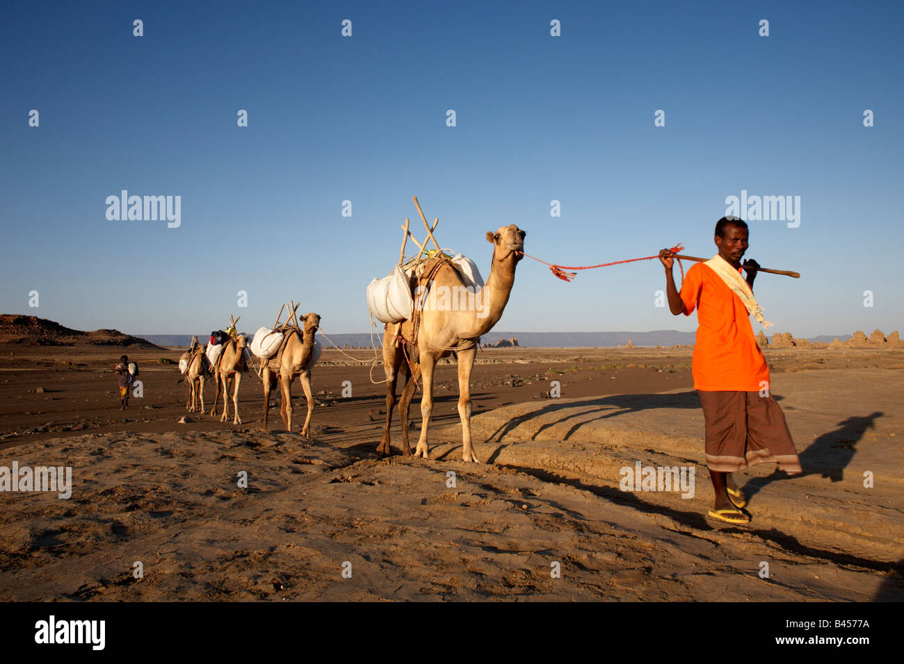 Afar nomads traverse Lac Abbe, Djibouti Stock Photo - Alamy