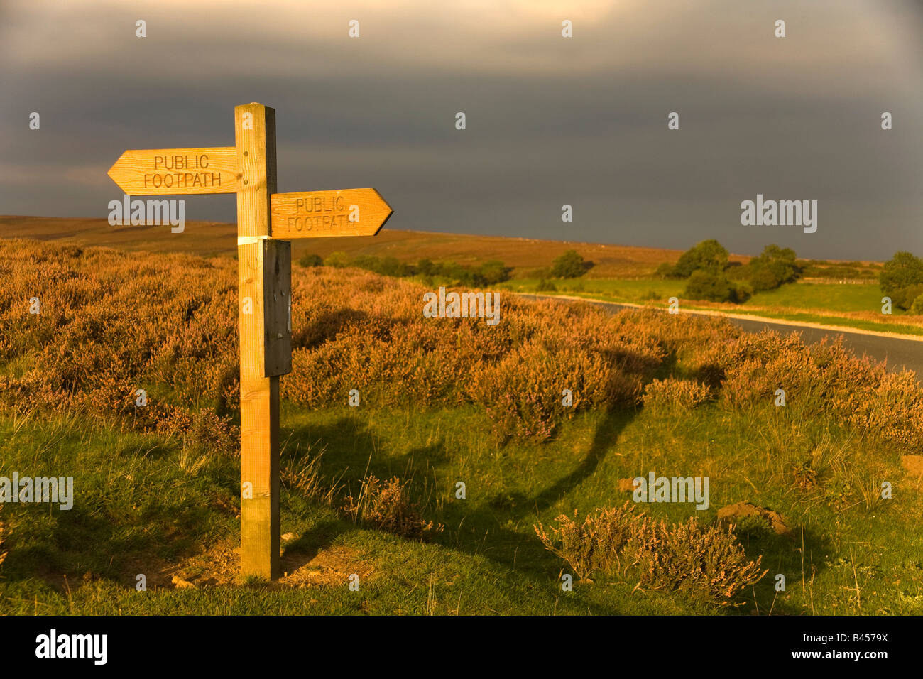Shadow signpost hi-res stock photography and images - Alamy