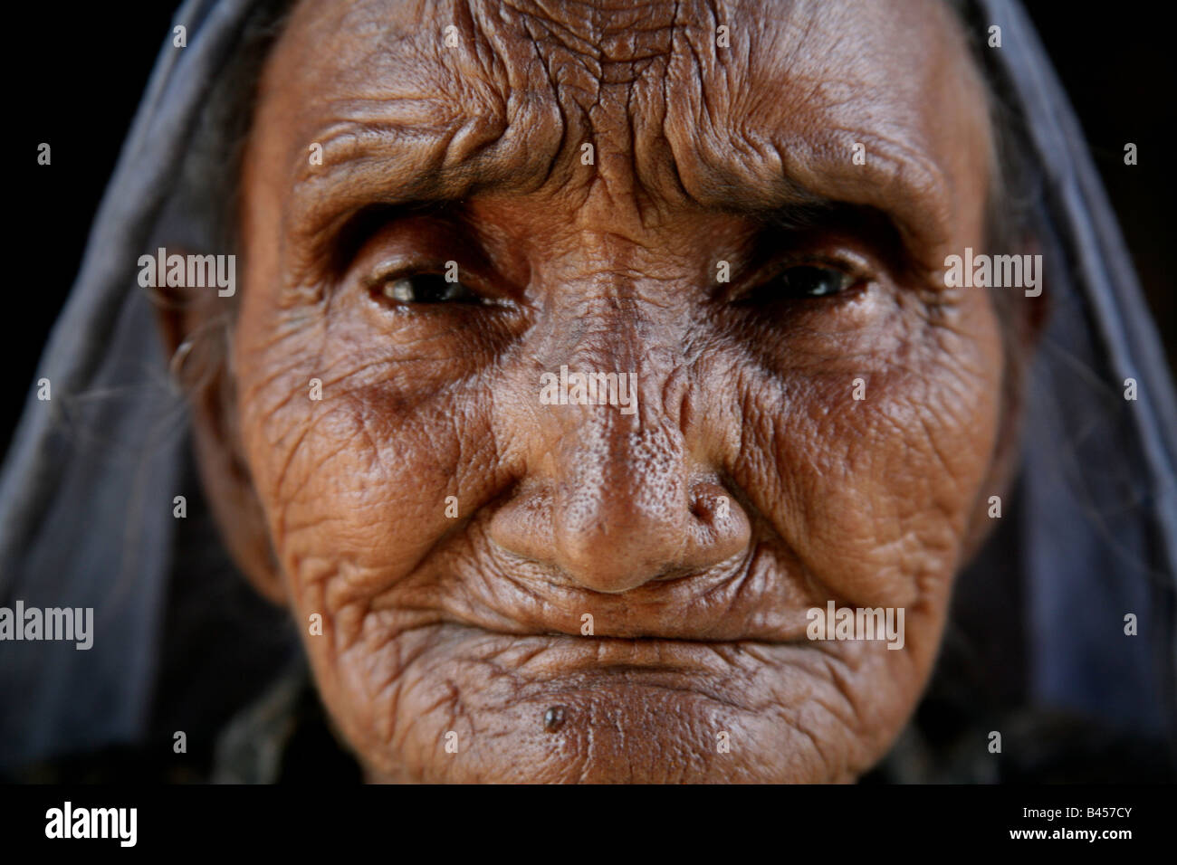 Portrait of an old Indian lady, New Delhi, India, South Asia Stock ...