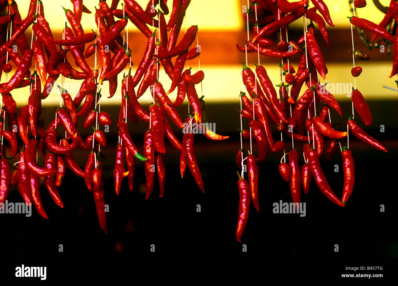 Hanging red chillies bunches hi-res stock photography and images - Alamy