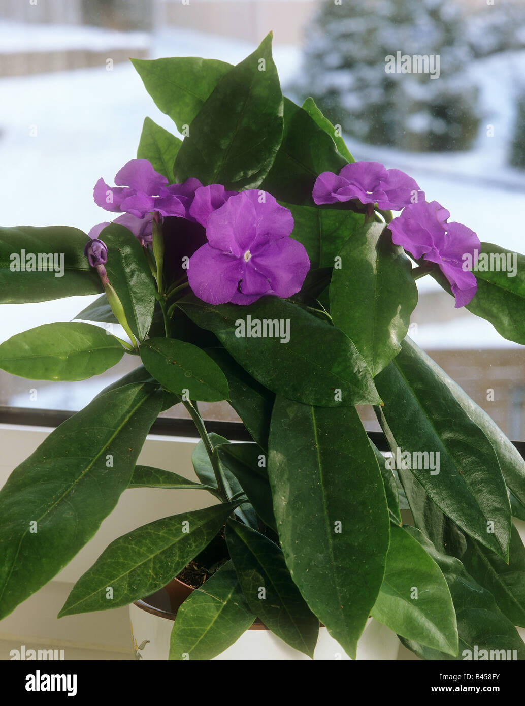 Yesterday today and tomorrow hi-res stock photography and images - Alamy