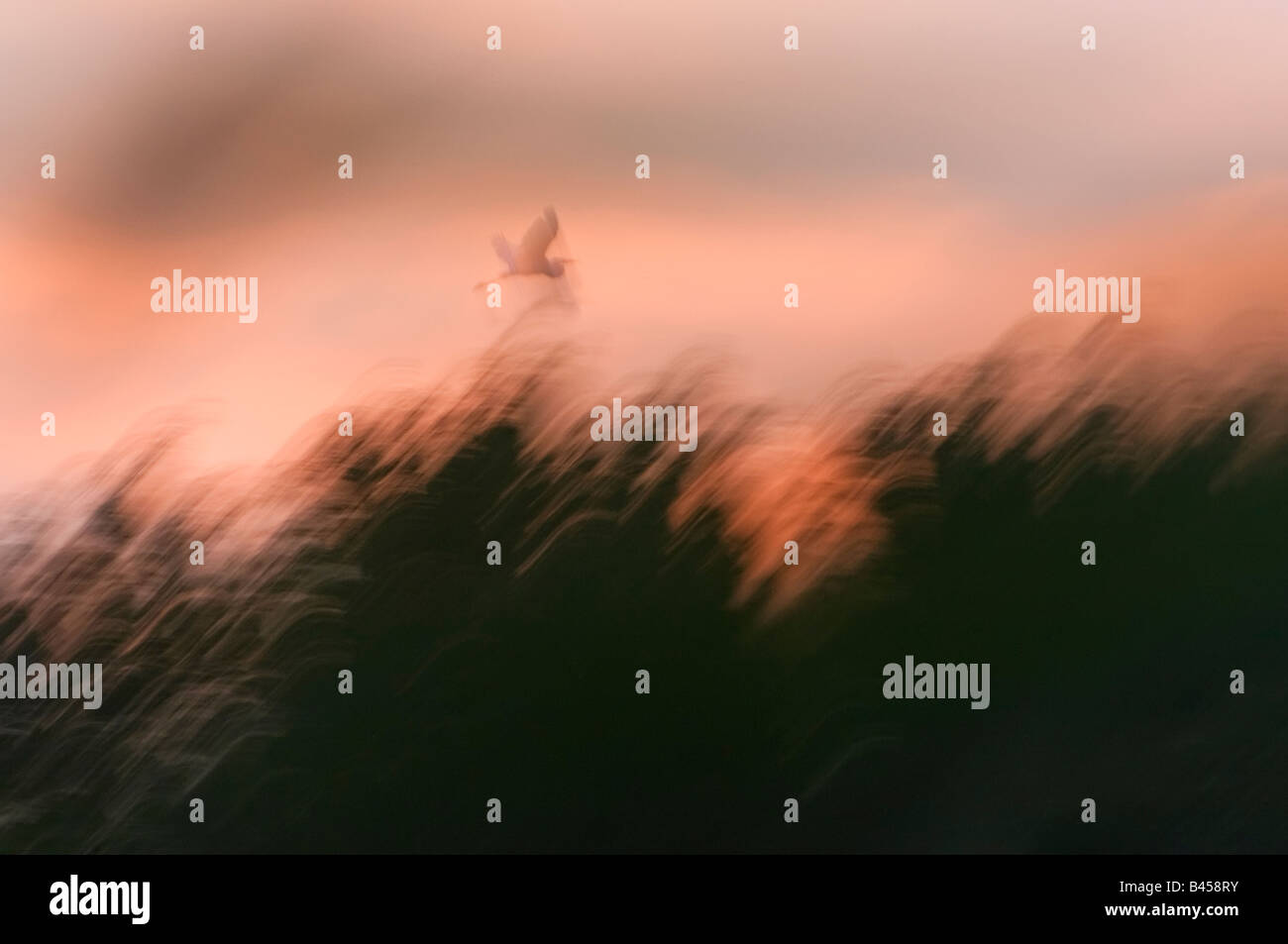 Pre impressionism hi-res stock photography and images - Alamy