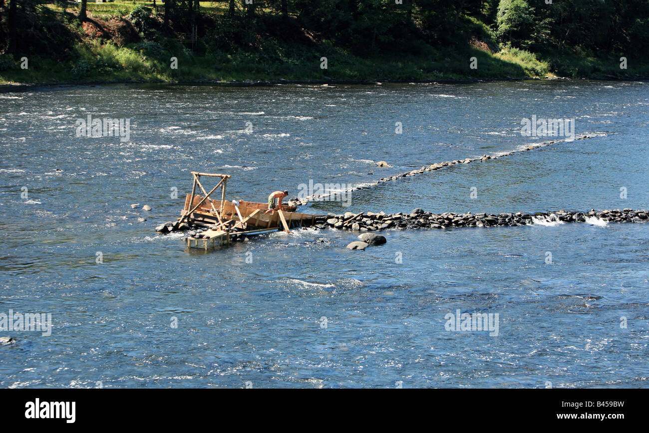 An eel weir on the Delaware River between Pennsylvania An eel man is ...