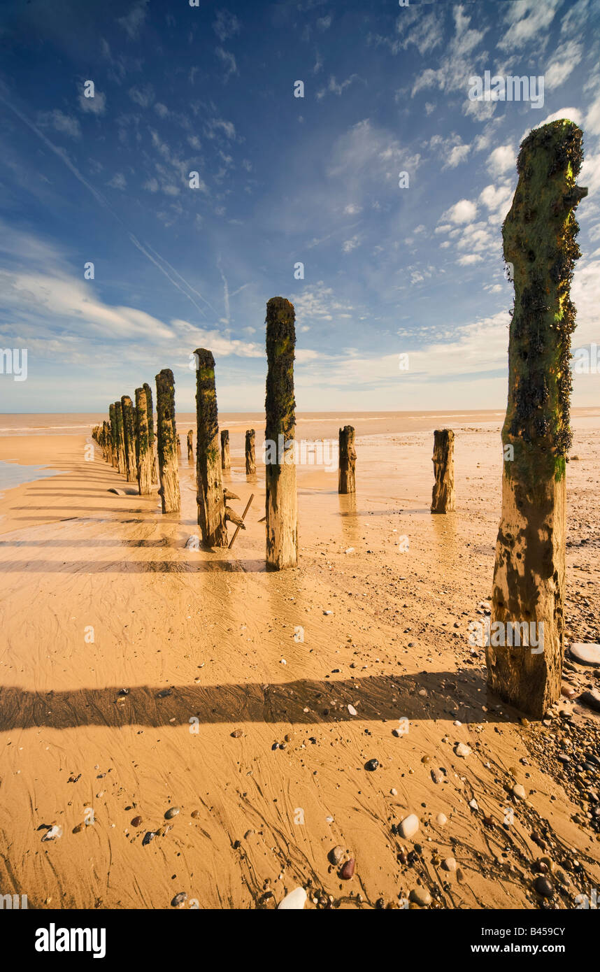 Low tide, Humberside, England Stock Photo - Alamy
