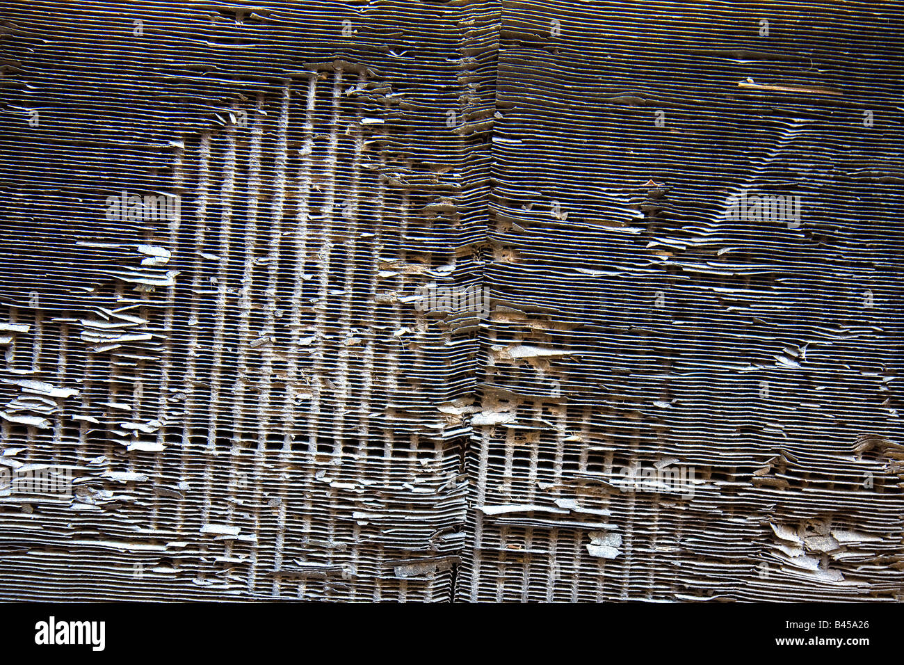 Old car radiator detail Stock Photo - Alamy