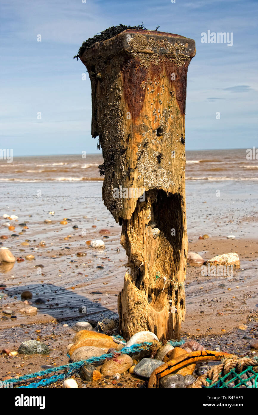 Remnants of mooring post, Humberside, England Stock Photo - Alamy
