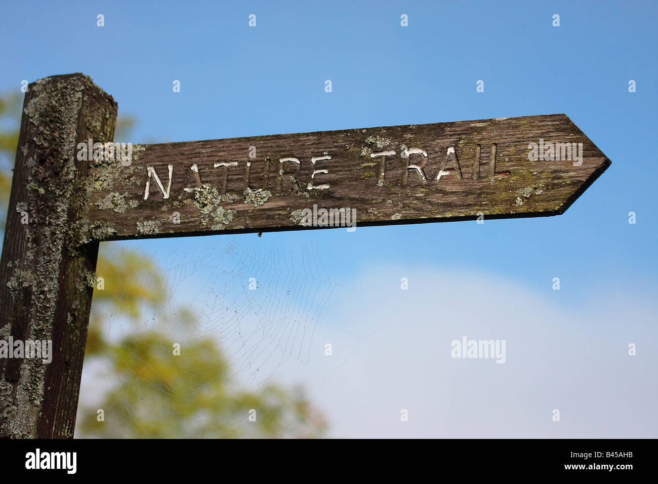 Nature Trail Sign Post Stock Photo - Alamy