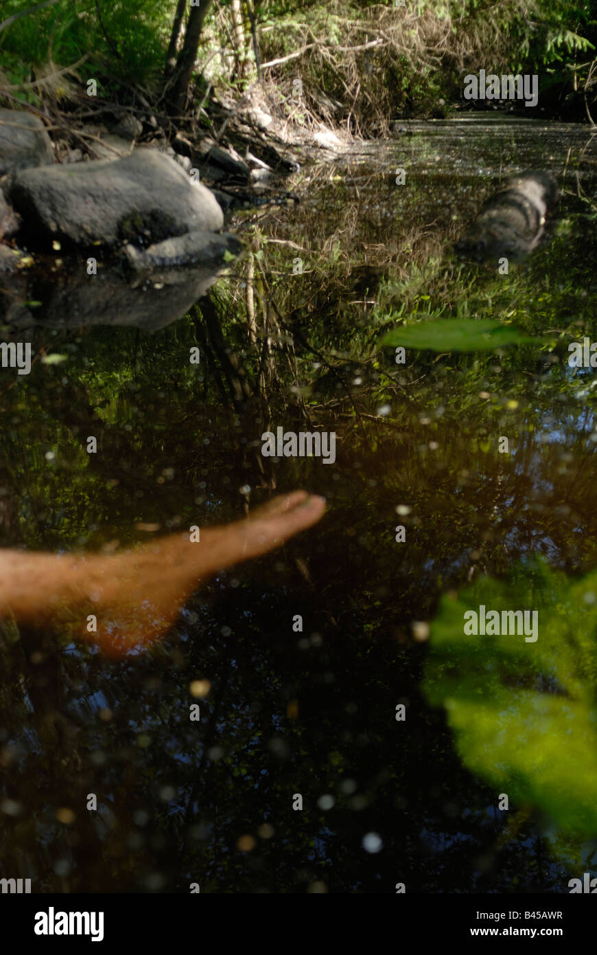 Drowned body hi-res stock photography and images - Alamy