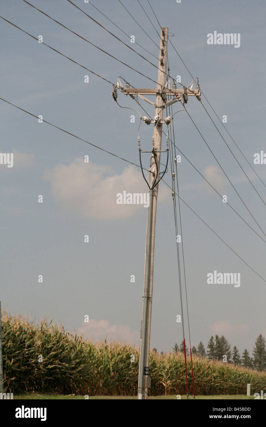Wood electric pole in rural midwest USA Stock Photo - Alamy