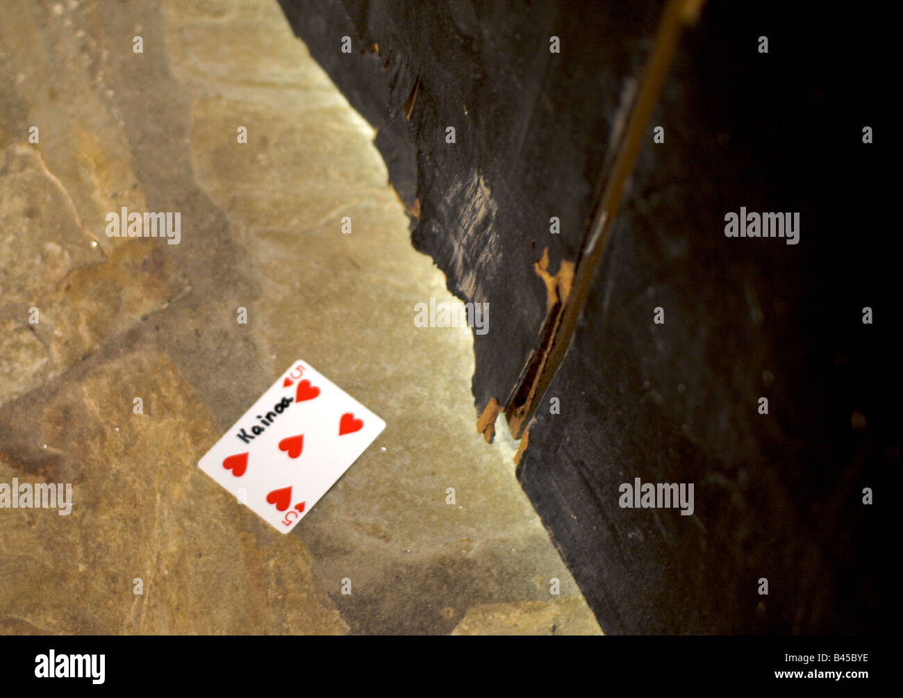 Kainoa hi-res stock photography and images - Alamy