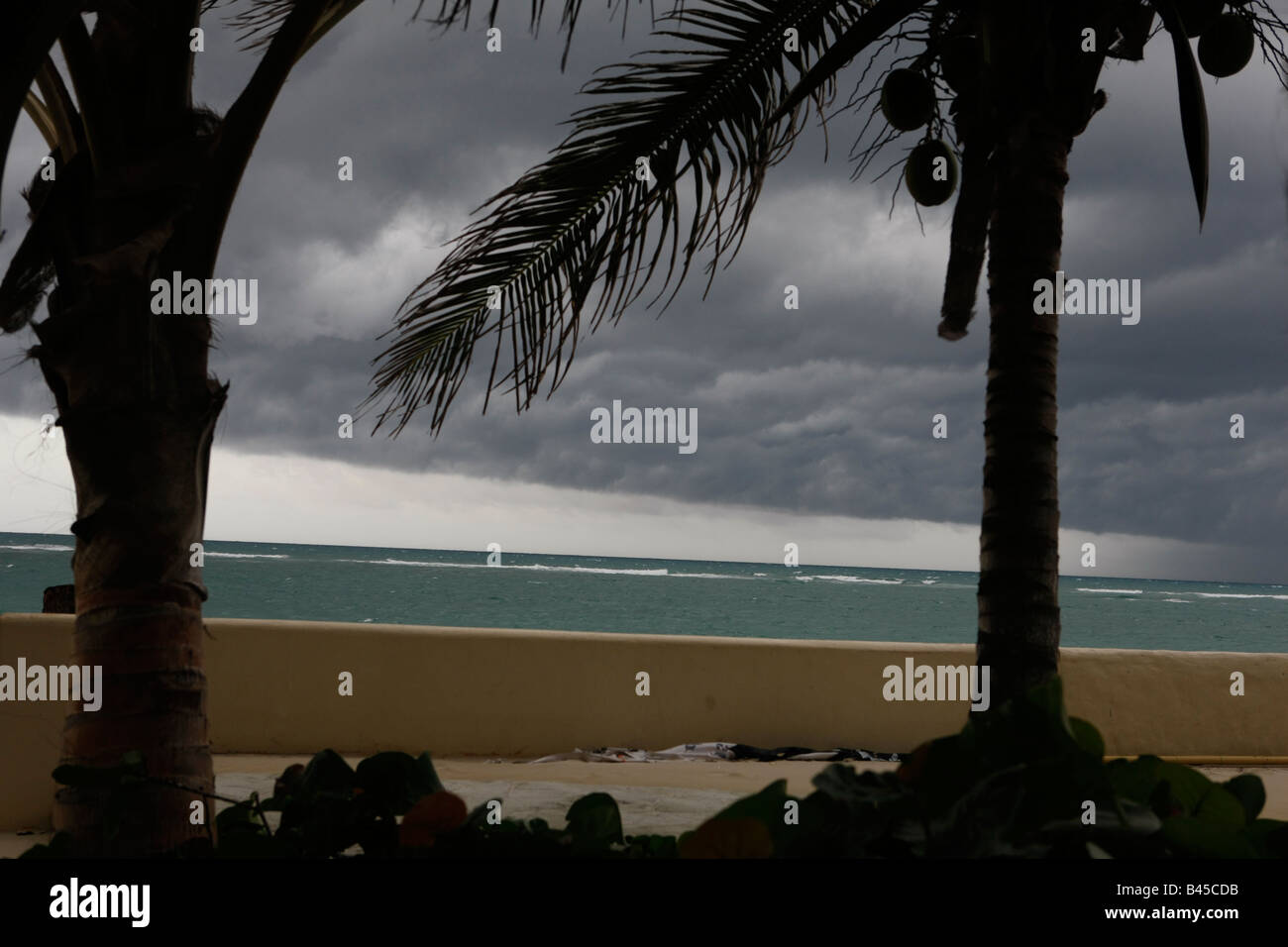Tropical storm on a beach Stock Photo - Alamy