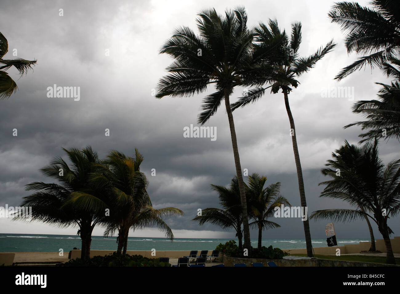 Tropical storm on a beach Stock Photo - Alamy