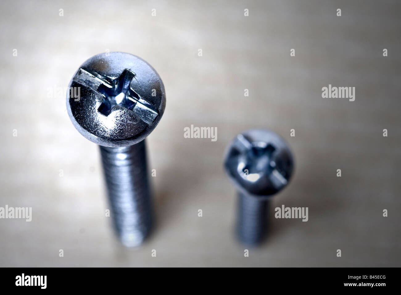 Two screw standing in wood with shallow depth of field Stock Photo - Alamy