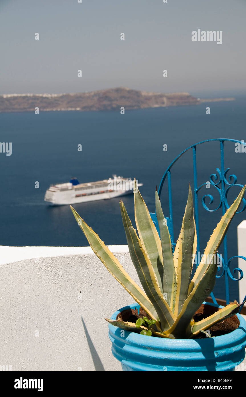 santorini greek island view cactus plant with wrought iron fence over ...