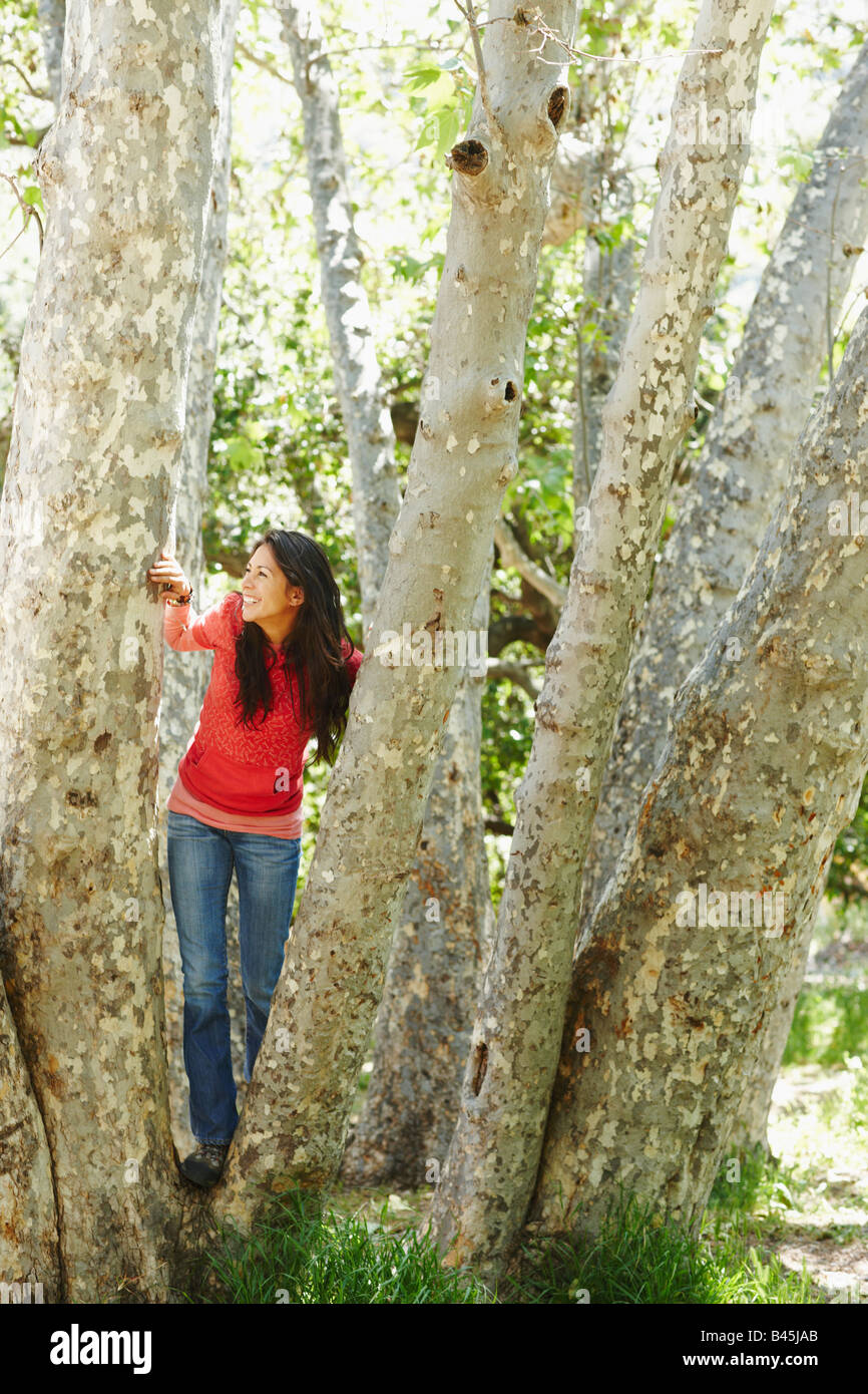 Grove of trees hi-res stock photography and images - Alamy