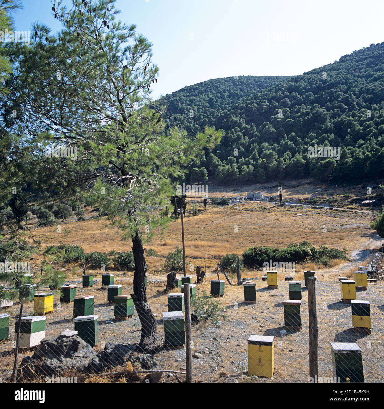Bee Hives Alonisos Greek Islands Hellas Stock Photo - Alamy