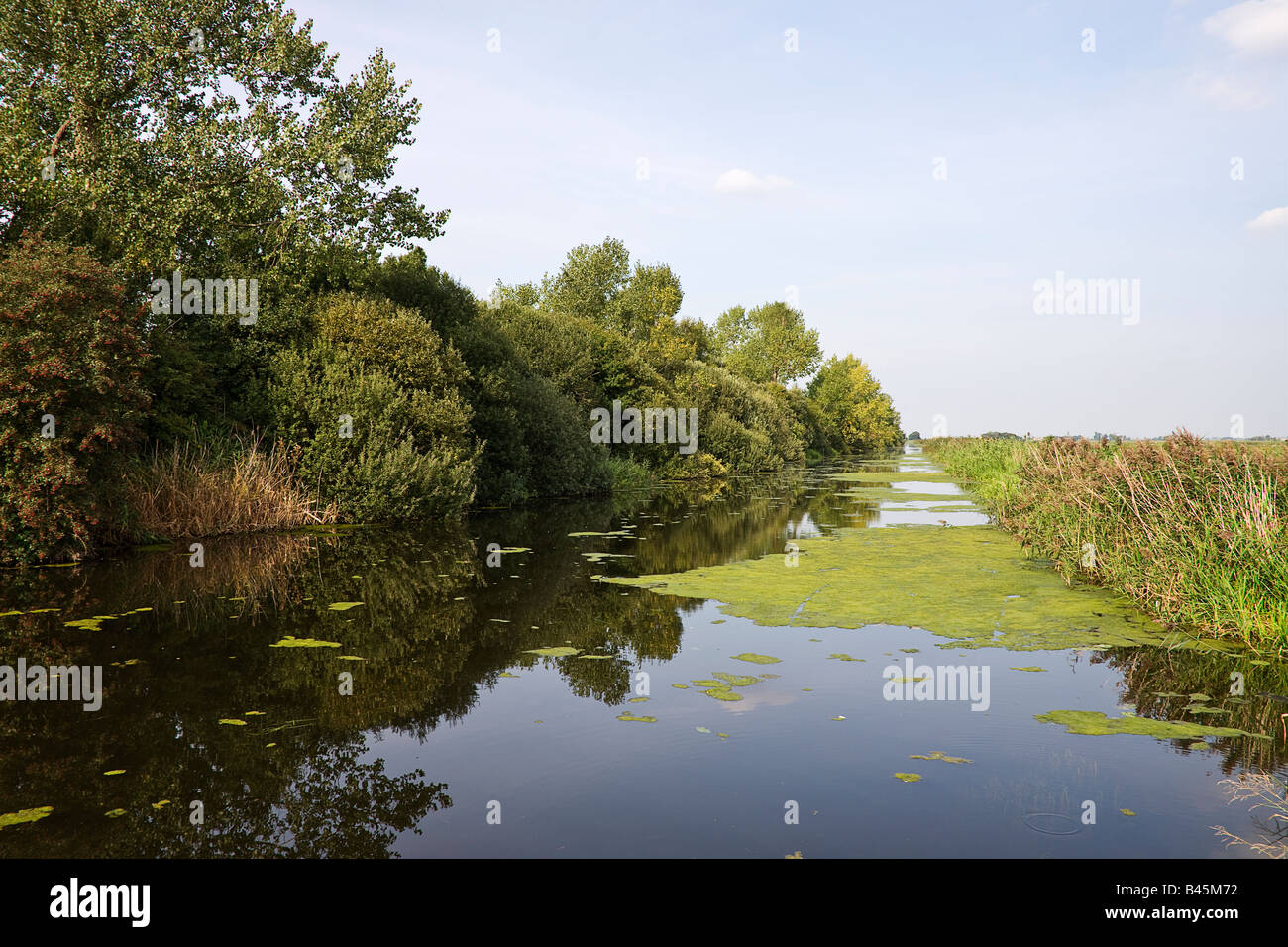 Great Raveley Drain alongside Woodwalton Fen Stock Photo - Alamy