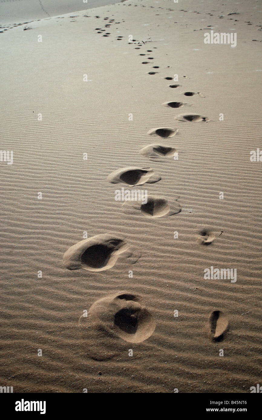 Desert dune walk hi-res stock photography and images - Alamy