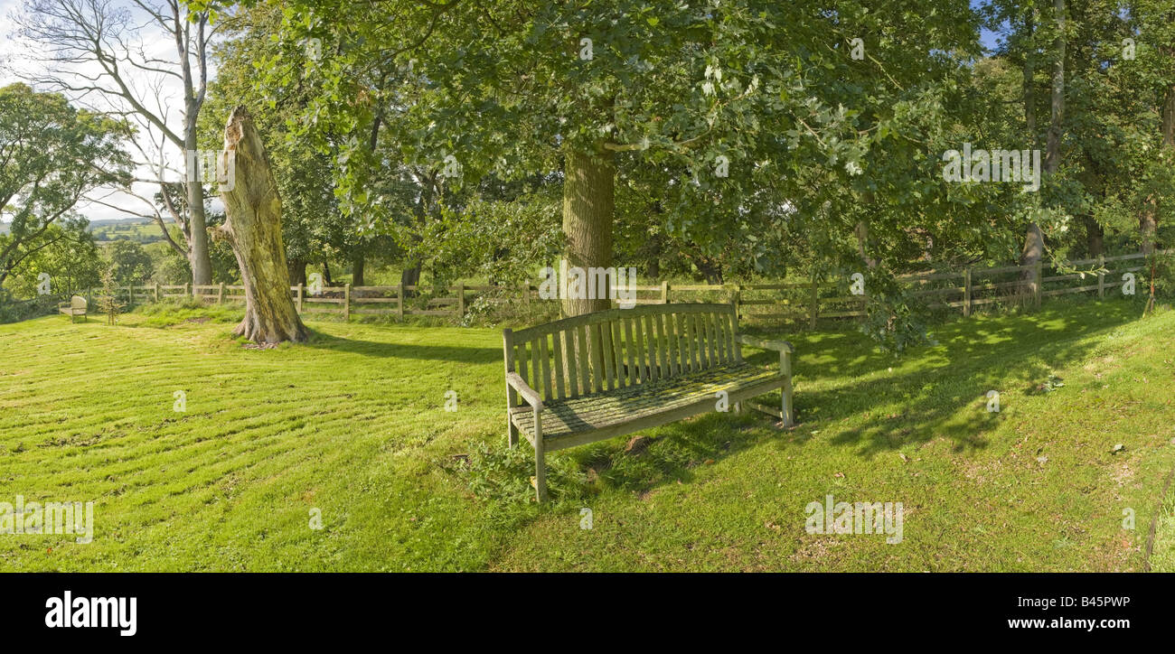 a shady bench in a garden Stock Photo - Alamy